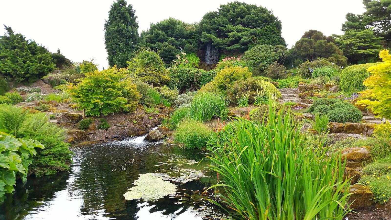 23 Edinburgh Botanical Garden Ideas To Try This Year | SharonSable