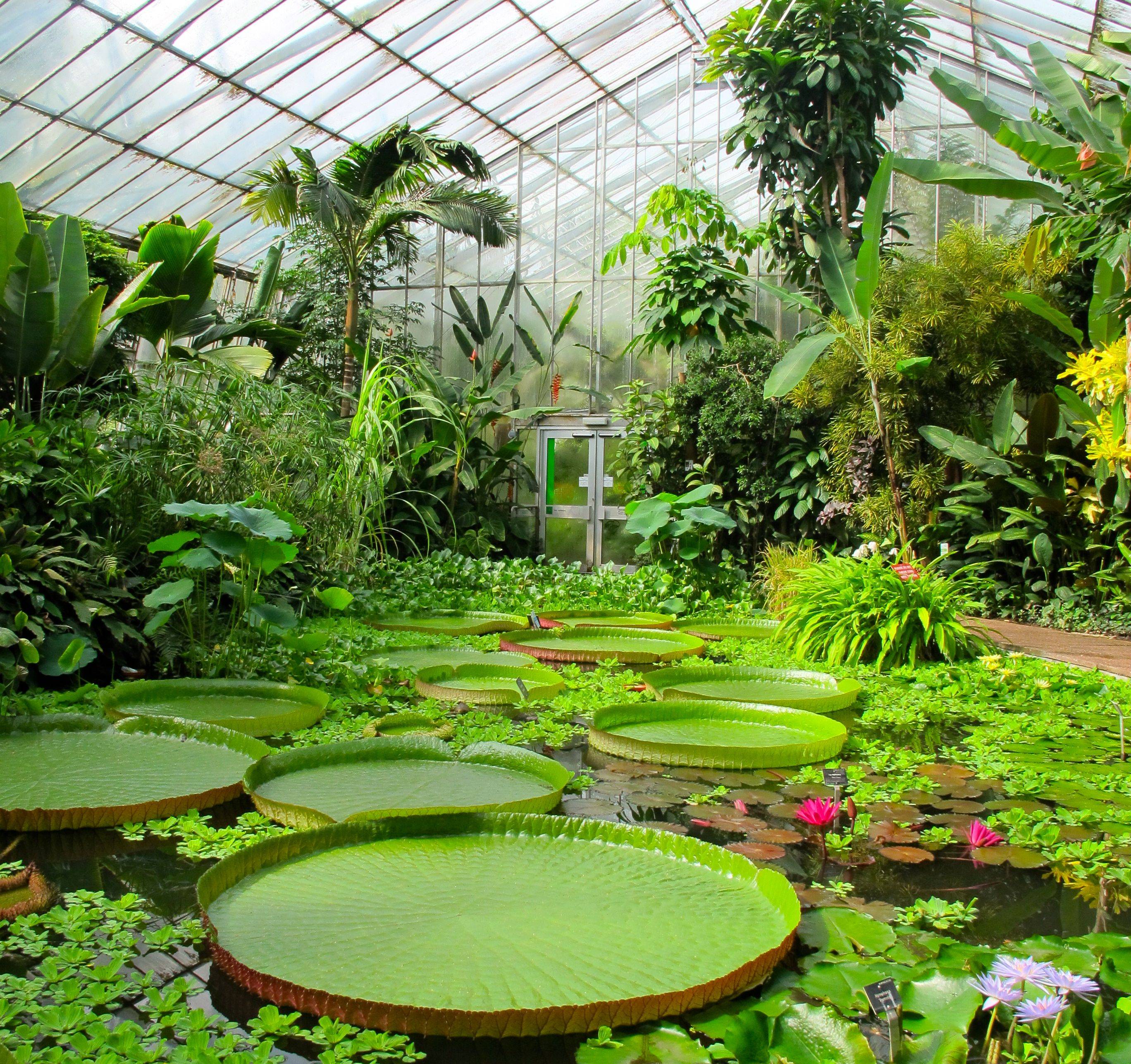 23 Edinburgh Botanical Garden Ideas To Try This Year | SharonSable