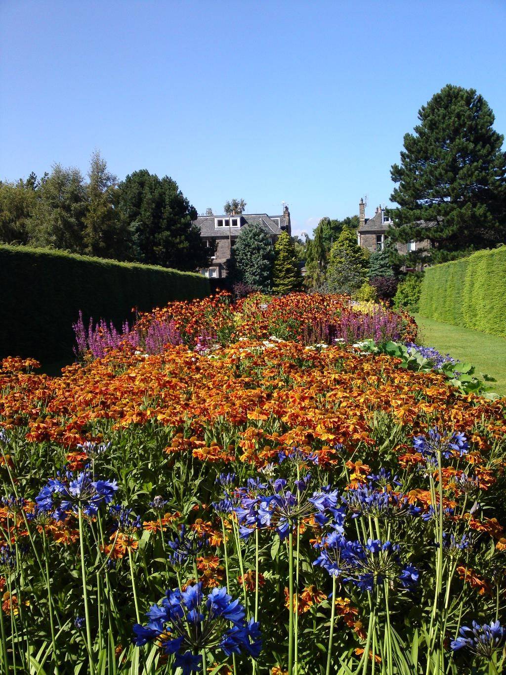 23 Edinburgh Botanical Garden Ideas To Try This Year | SharonSable