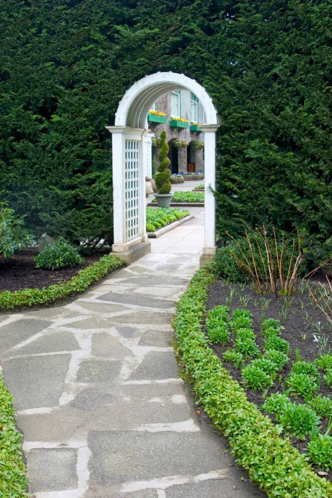 19 White Garden Arch Ideas You Must Look | SharonSable