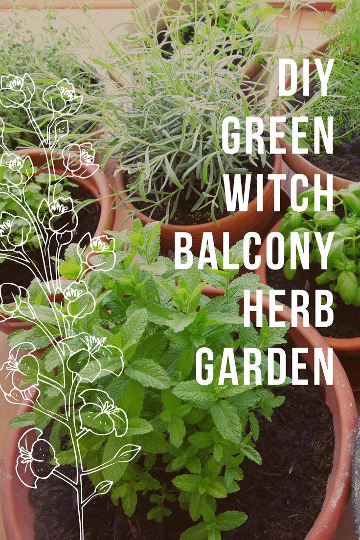 18 Witch Herb Garden Ideas To Consider | SharonSable