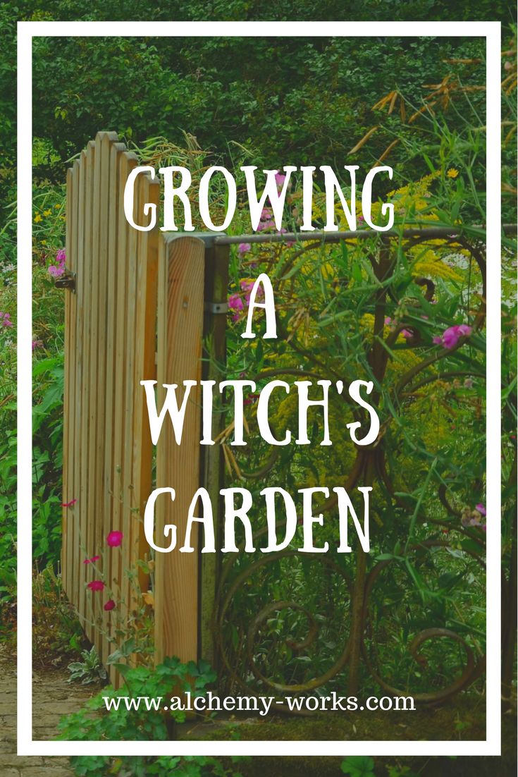 18 Witch Herb Garden Ideas To Consider | SharonSable