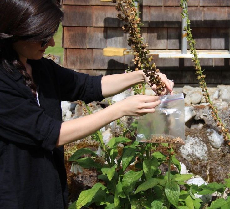 18 Witch Herb Garden Ideas To Consider | SharonSable