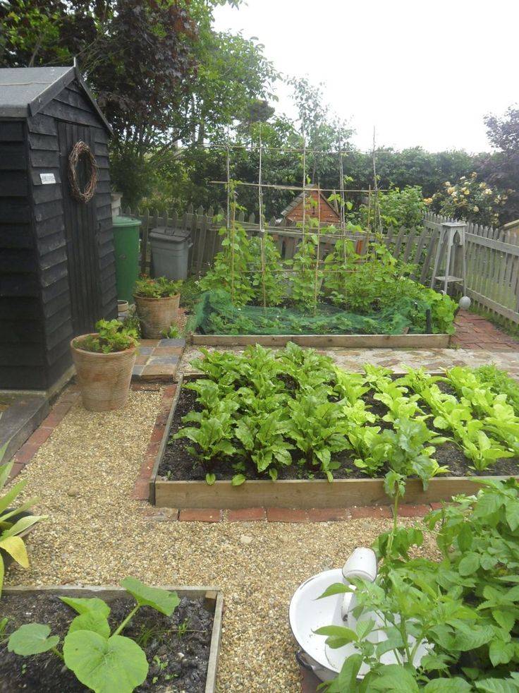 24 Vegetable Garden Small Cottage Ideas To Consider | SharonSable