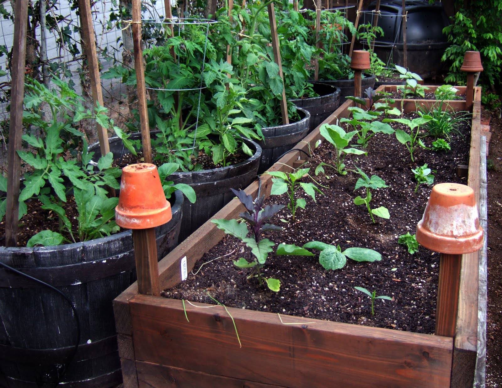 23 Vegetable Garden Pathways Ideas Worth a Look | SharonSable