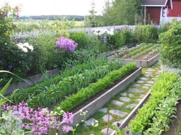 23 Vegetable Garden Pathways Ideas Worth a Look | SharonSable