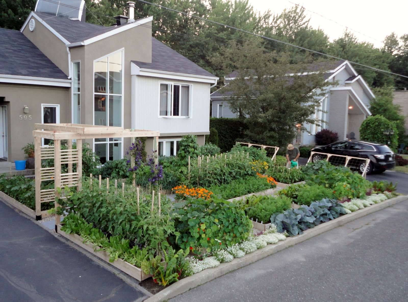 23 Front Yard Potager Garden Ideas To Try This Year | SharonSable