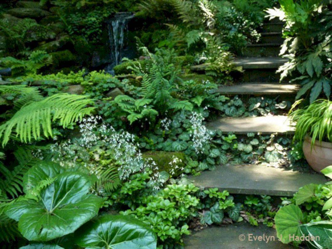 22 Wooded Shade Garden Ideas You Should Look | SharonSable