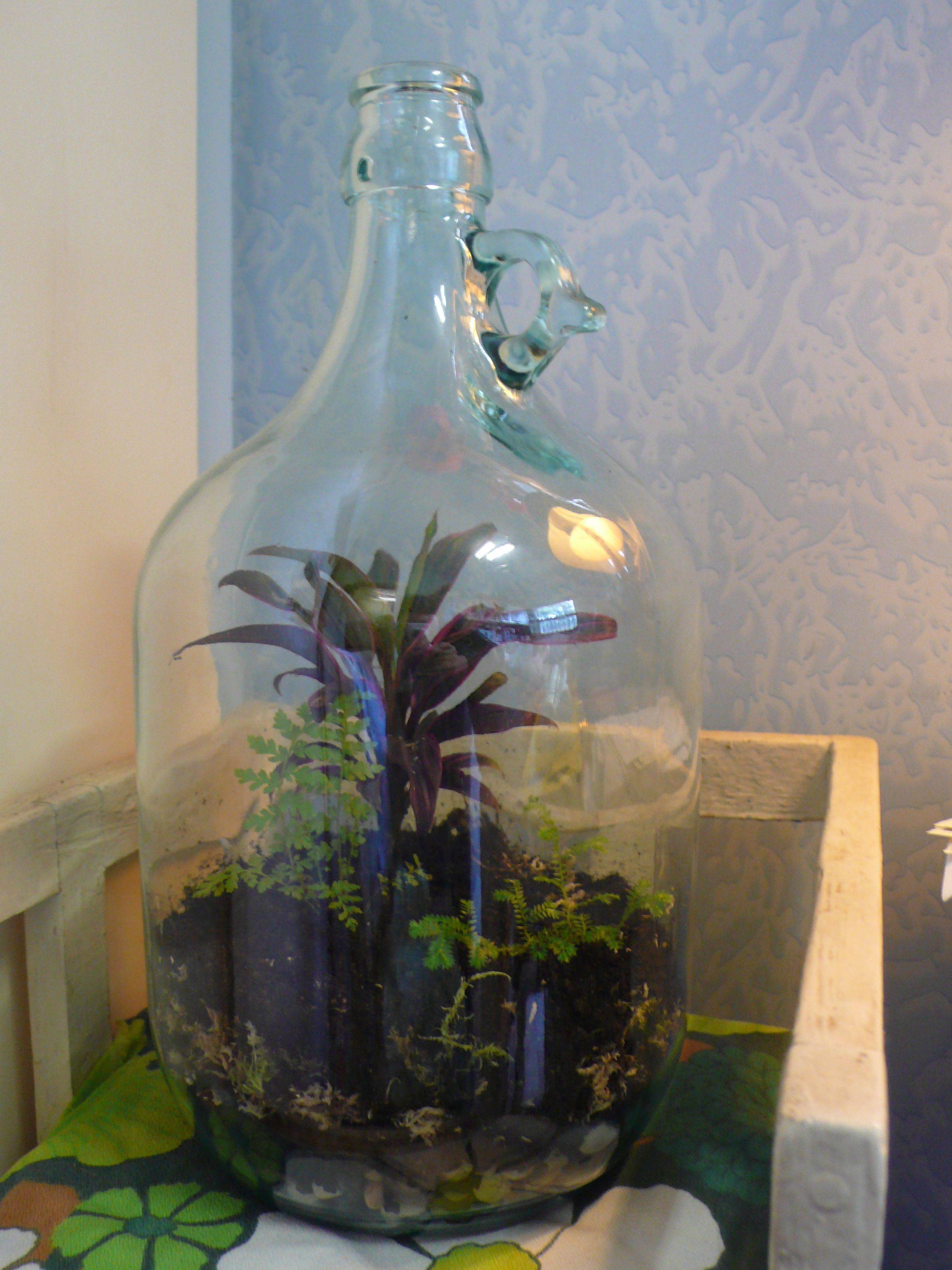 23 Bottled Garden Ideas Worth to Check | SharonSable