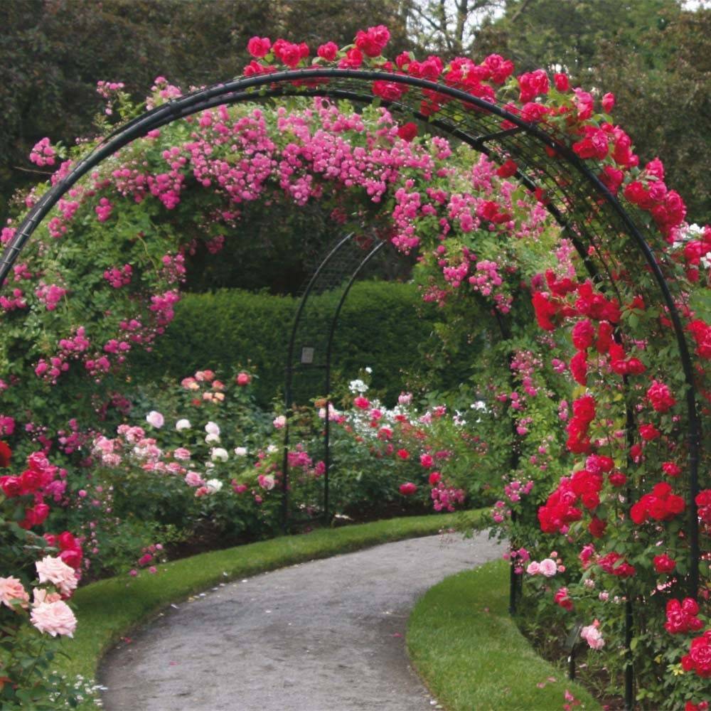 20 Flower Garden Archways Ideas To Try This Year | SharonSable