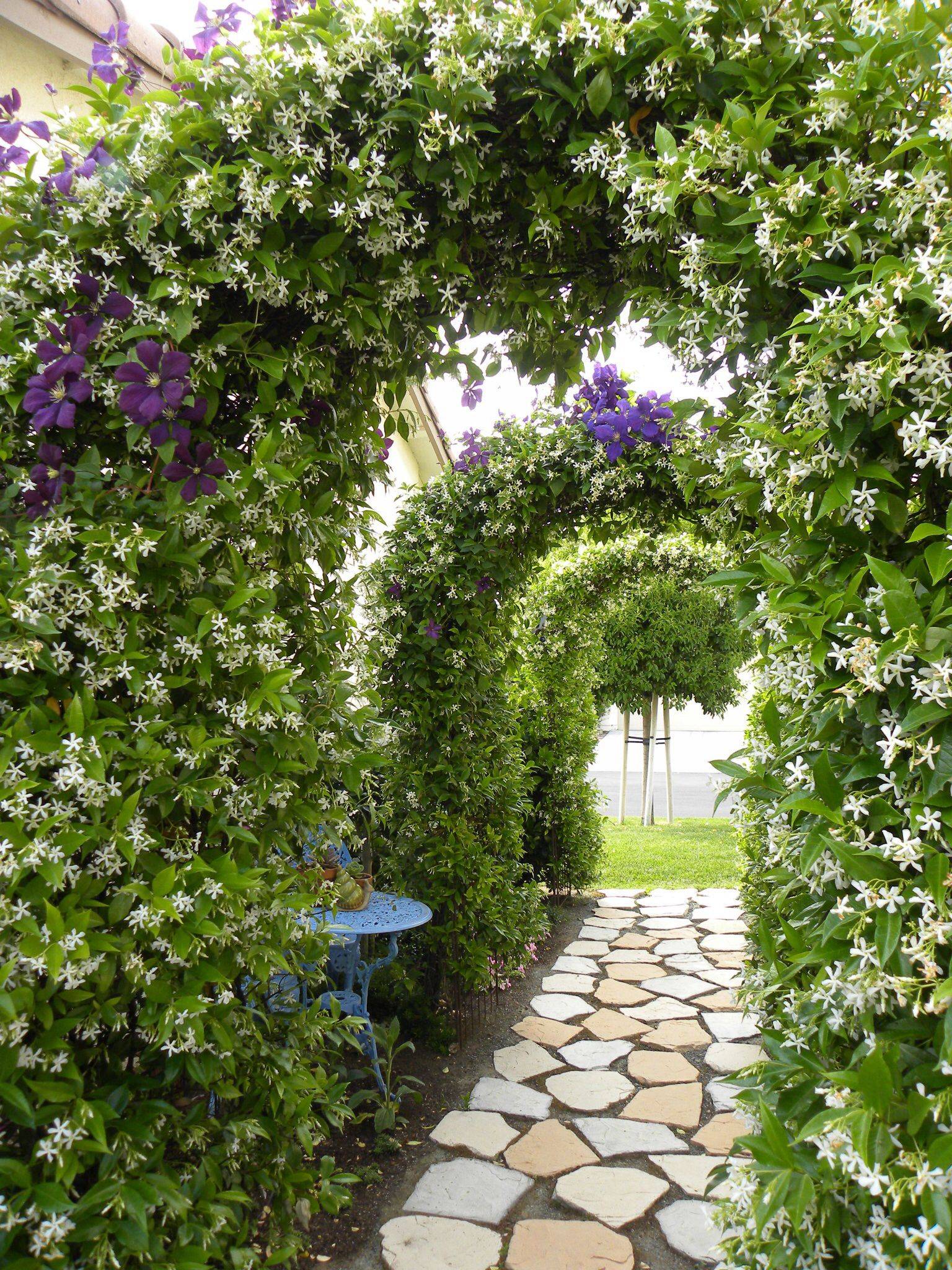 20 Beautiful Garden Arches Ideas You Gonna Love | SharonSable