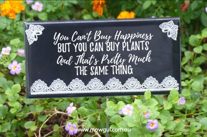25 Cute Garden Signs Ideas You Should Check | SharonSable