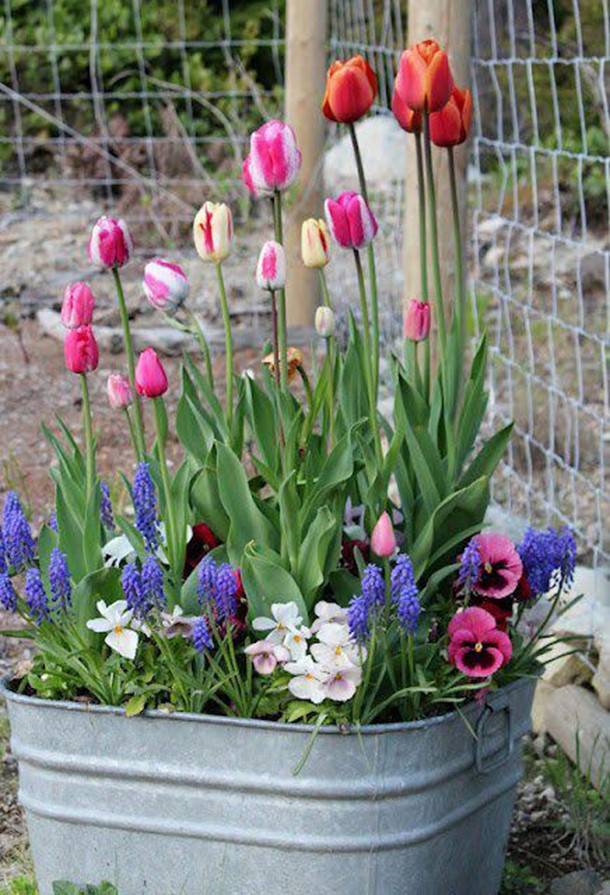 22 Galvanized Containers for Gardening Ideas You Should Check | SharonSable