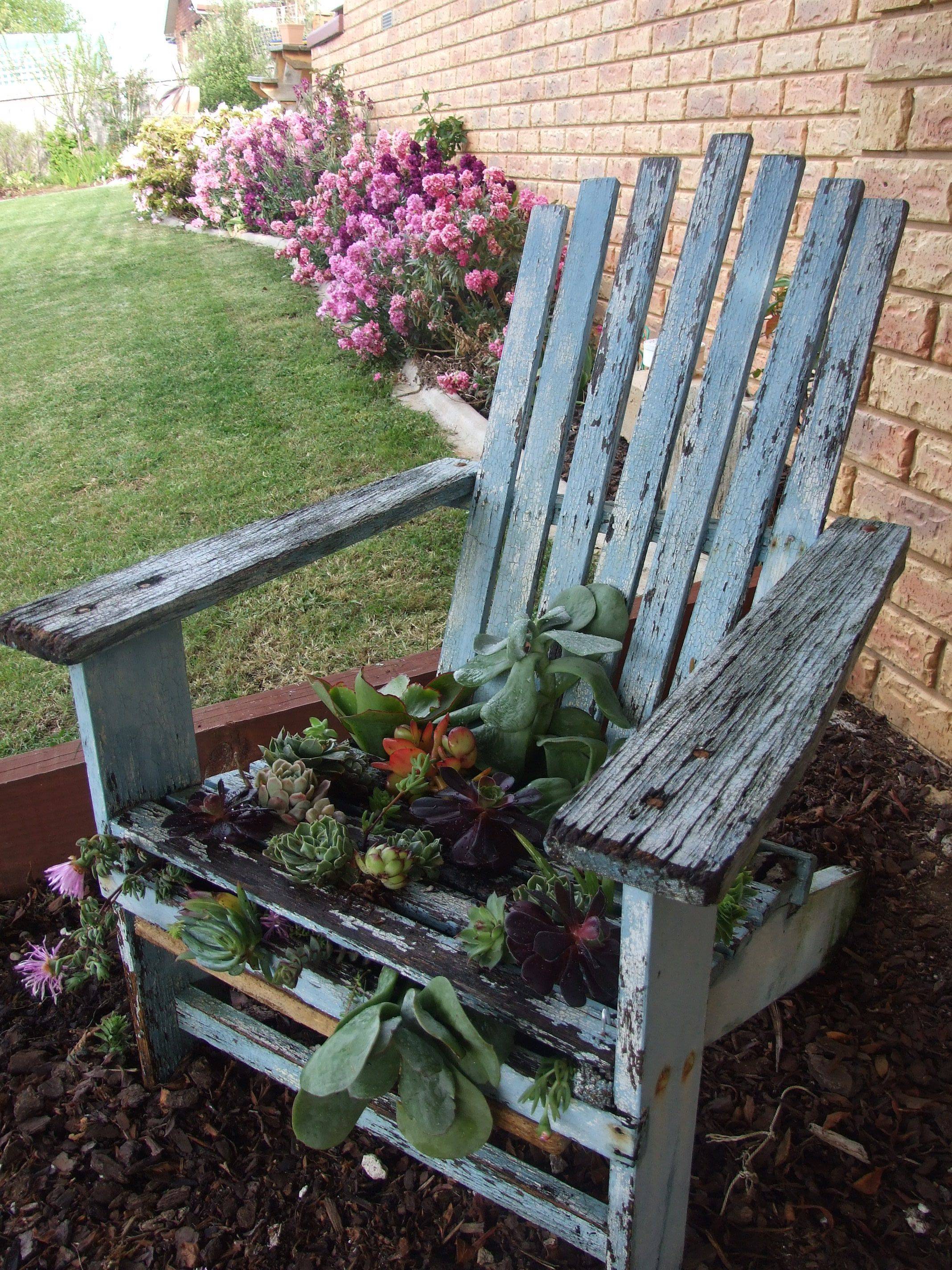 24 Succulent Garden Chair Ideas To Try This Year | SharonSable