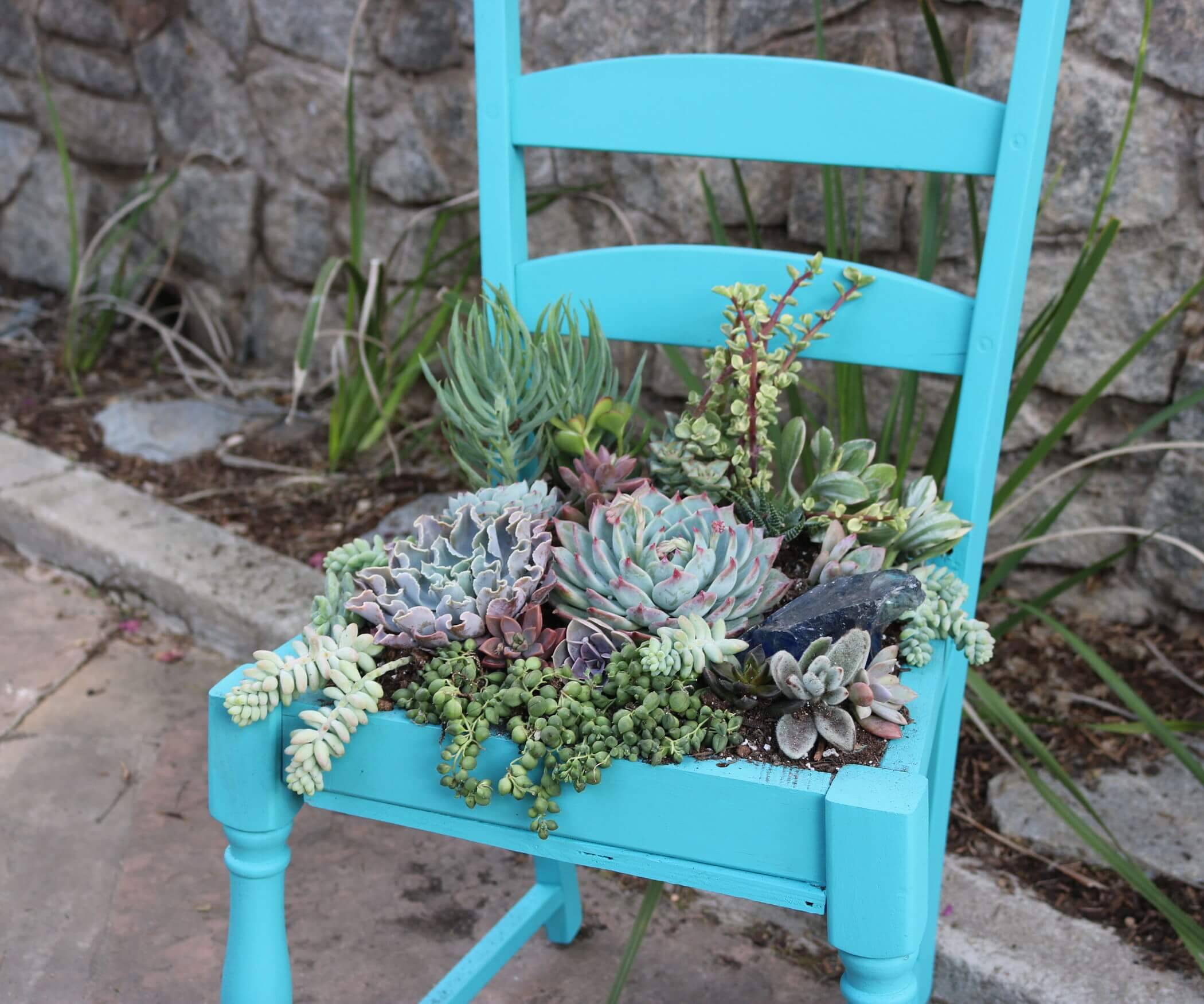 24 Succulent Garden Chair Ideas To Try This Year | SharonSable