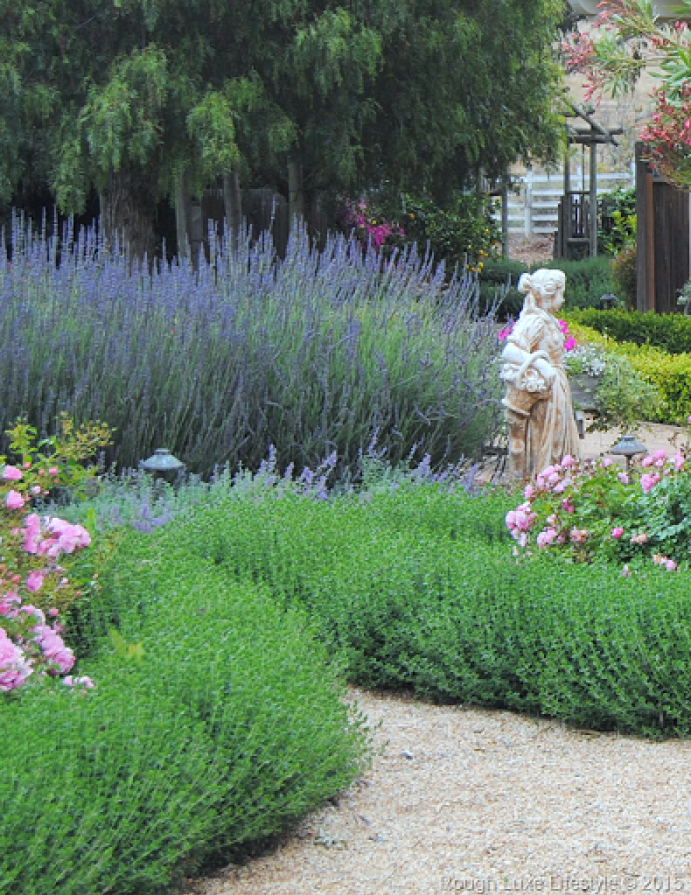 20 Drought Tolerant Cottage Garden Ideas Worth a Look | SharonSable
