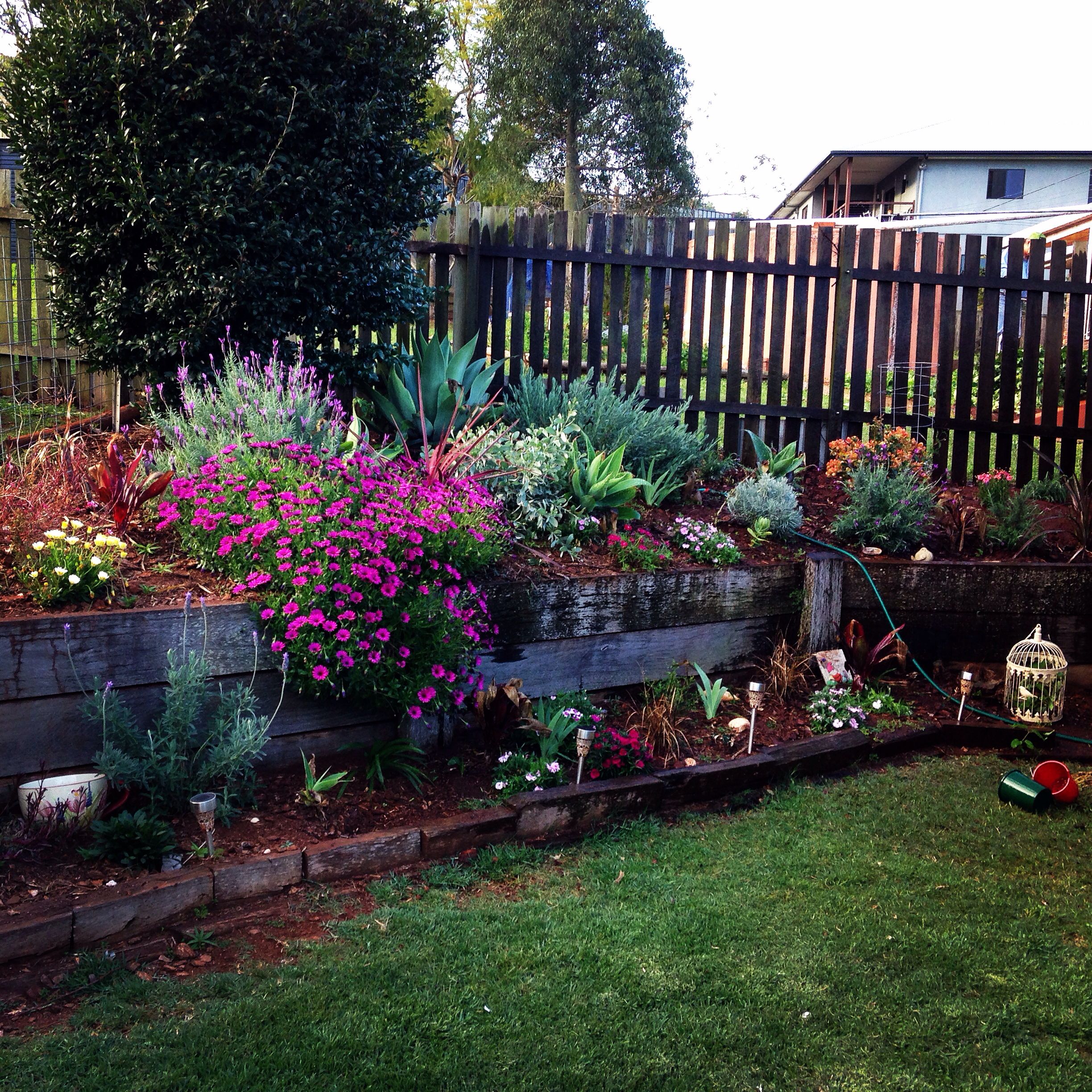 20 Drought Tolerant Cottage Garden Ideas Worth a Look | SharonSable