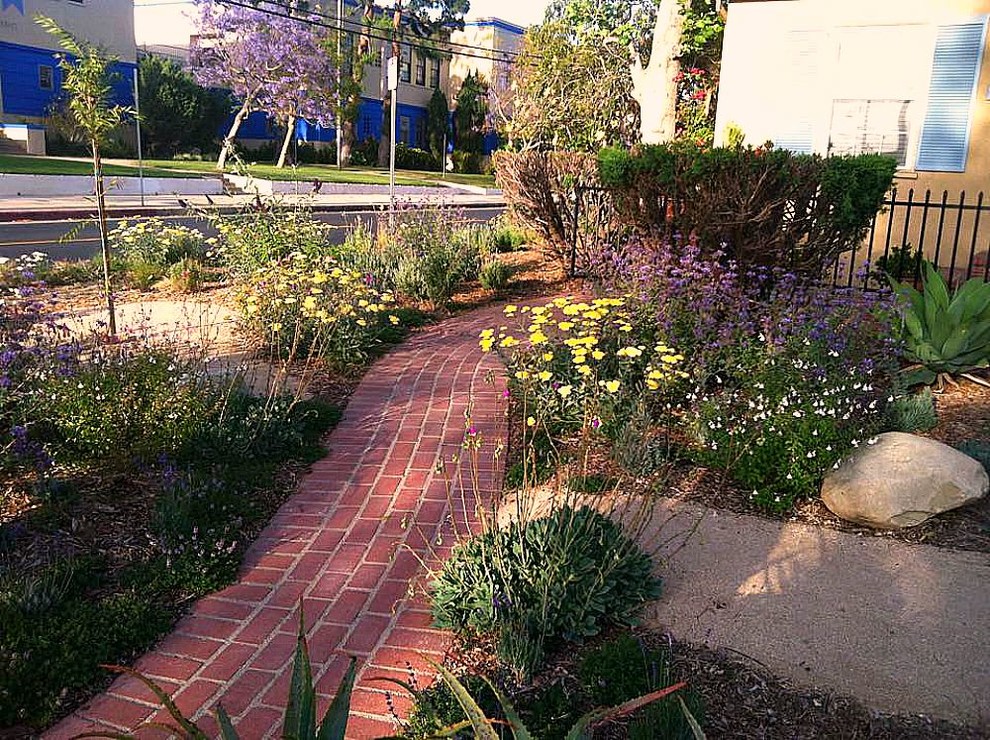 20 Drought Tolerant Cottage Garden Ideas Worth a Look | SharonSable
