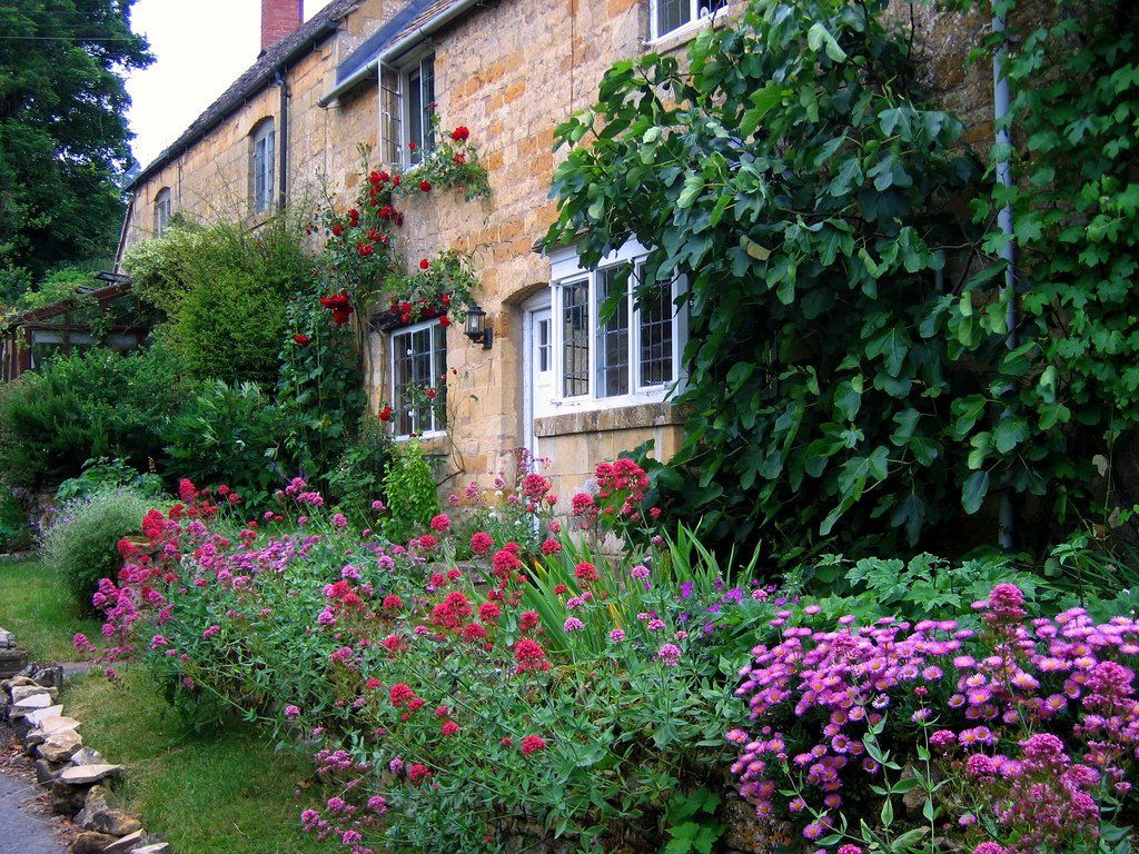 20 Drought Tolerant Cottage Garden Ideas Worth a Look | SharonSable