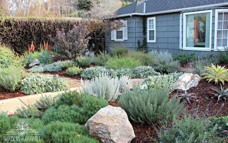 20 Drought Tolerant Cottage Garden Ideas Worth a Look | SharonSable