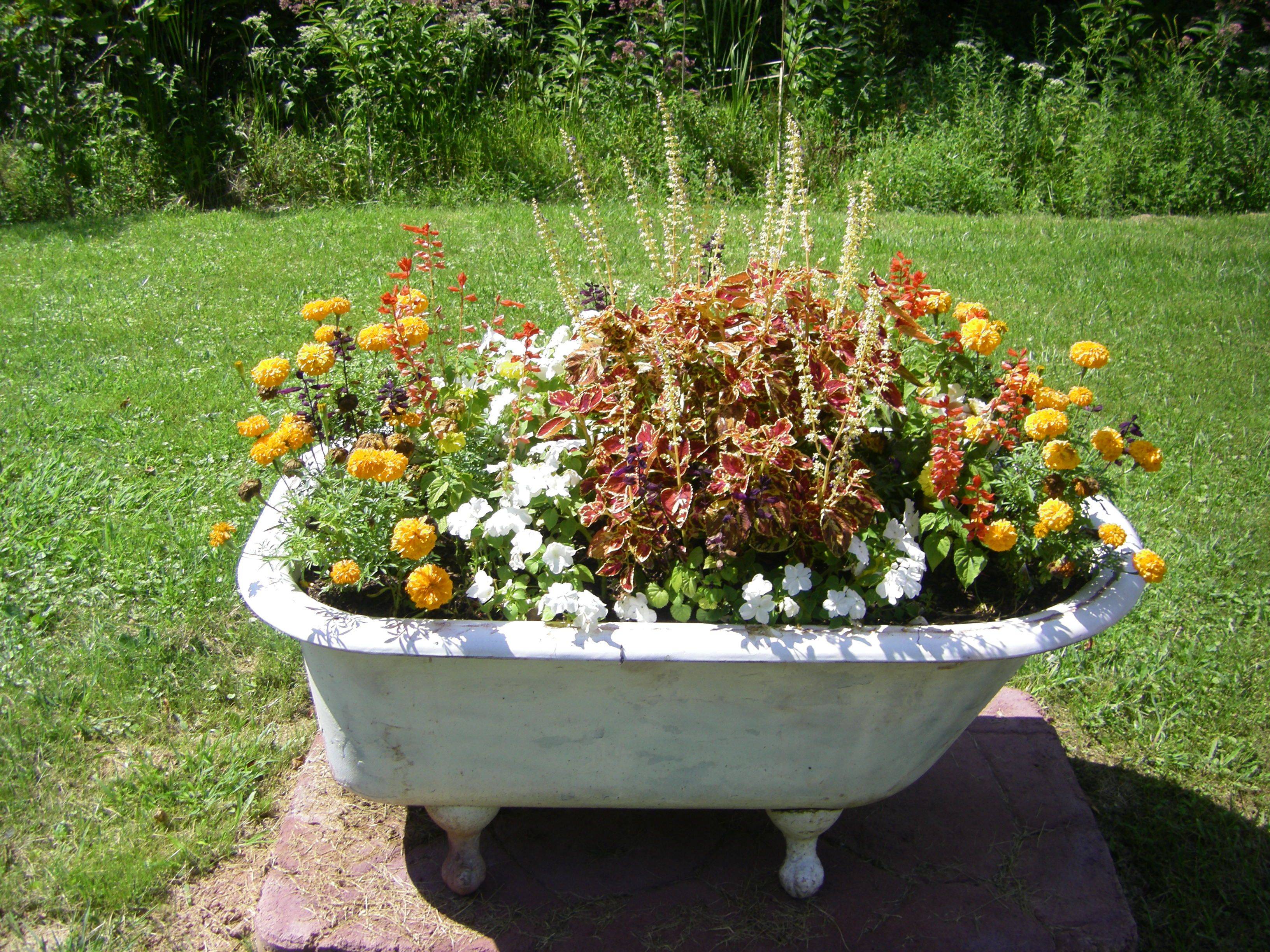 23 Old Bathtub Garden Ideas For This Year | SharonSable