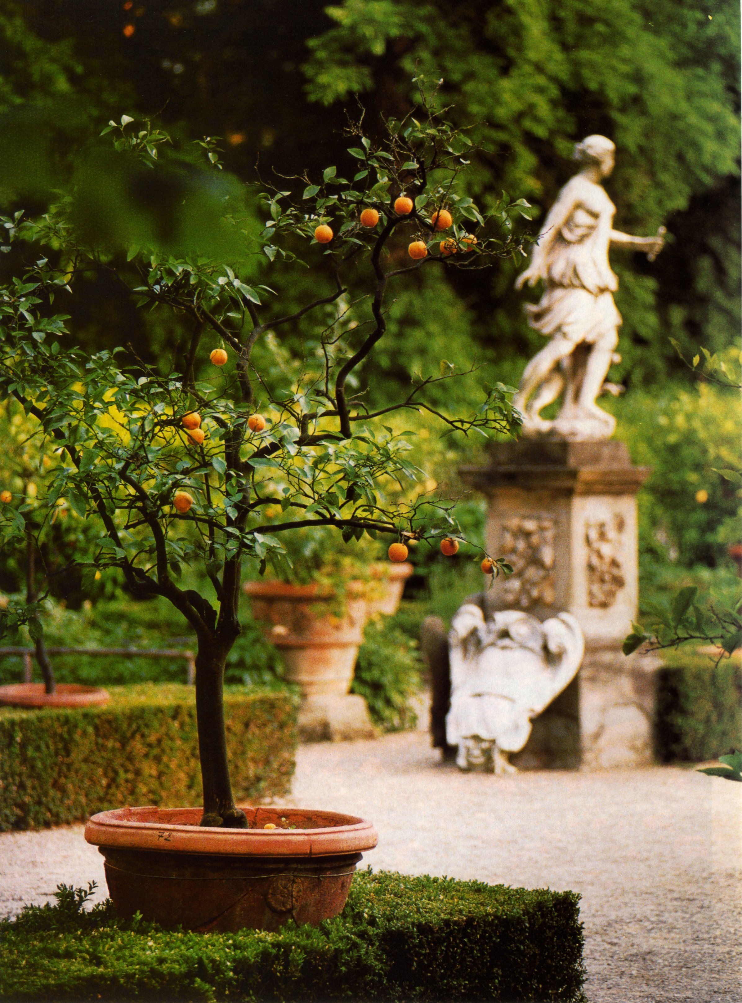 21 Italian Renaissance Garden Design Ideas You Cannot Miss | SharonSable
