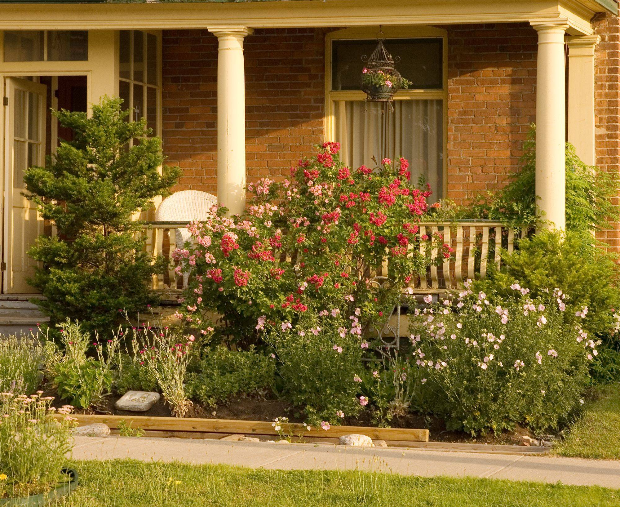 24 Wildflower Garden Bed Ideas To Consider | SharonSable