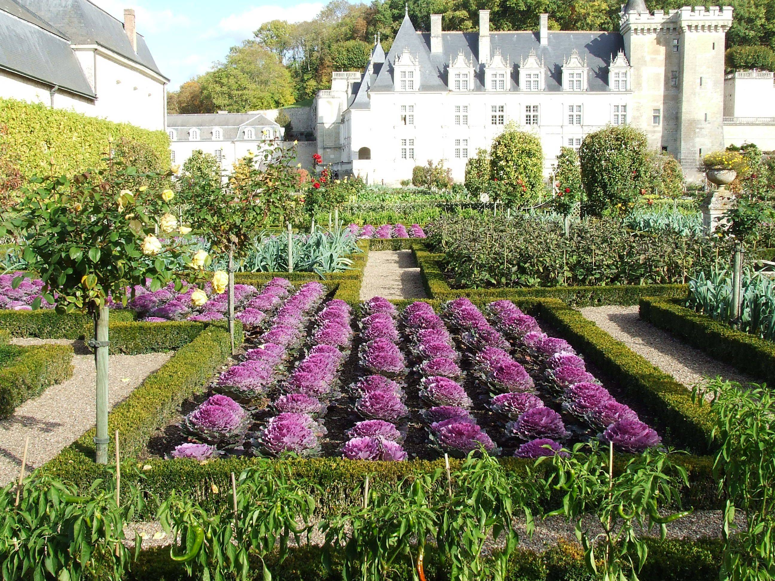 22 Loire Valley Garden Ideas For This Year | SharonSable