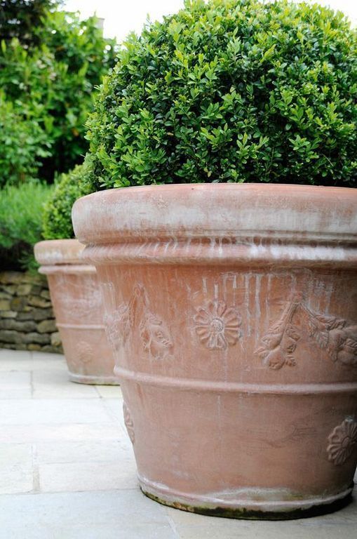 20 Italian Garden Pots Ideas To Consider | SharonSable