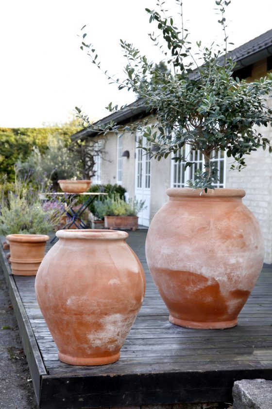 20 Italian Garden Pots Ideas To Consider | SharonSable