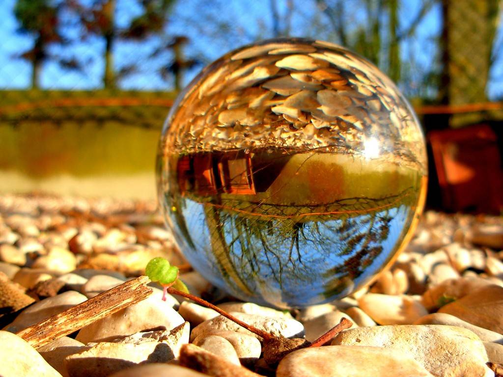 21 Round Garden Spheres Ideas To Try This Year | SharonSable