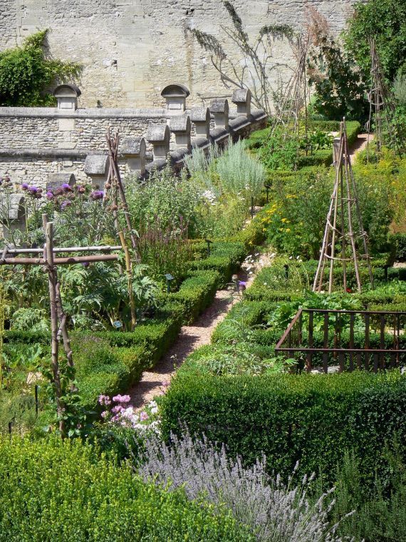 16 Medieval Gardener Ideas To Try This Year | SharonSable