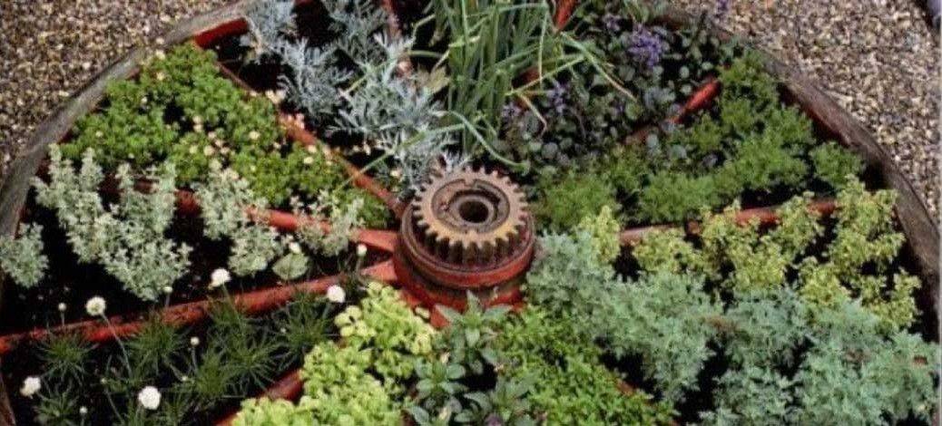 20 Witches Herb Garden Ideas You Cannot Miss | SharonSable