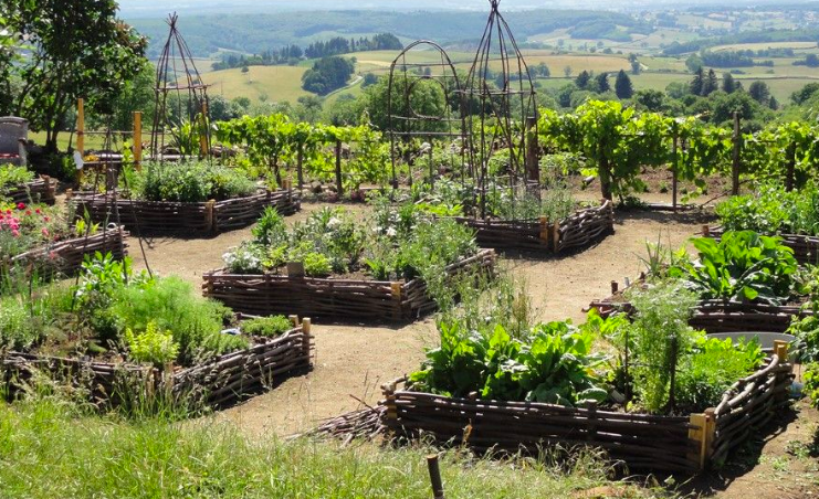 22 Medieval Vegetable Garden Ideas You Gonna Love | SharonSable