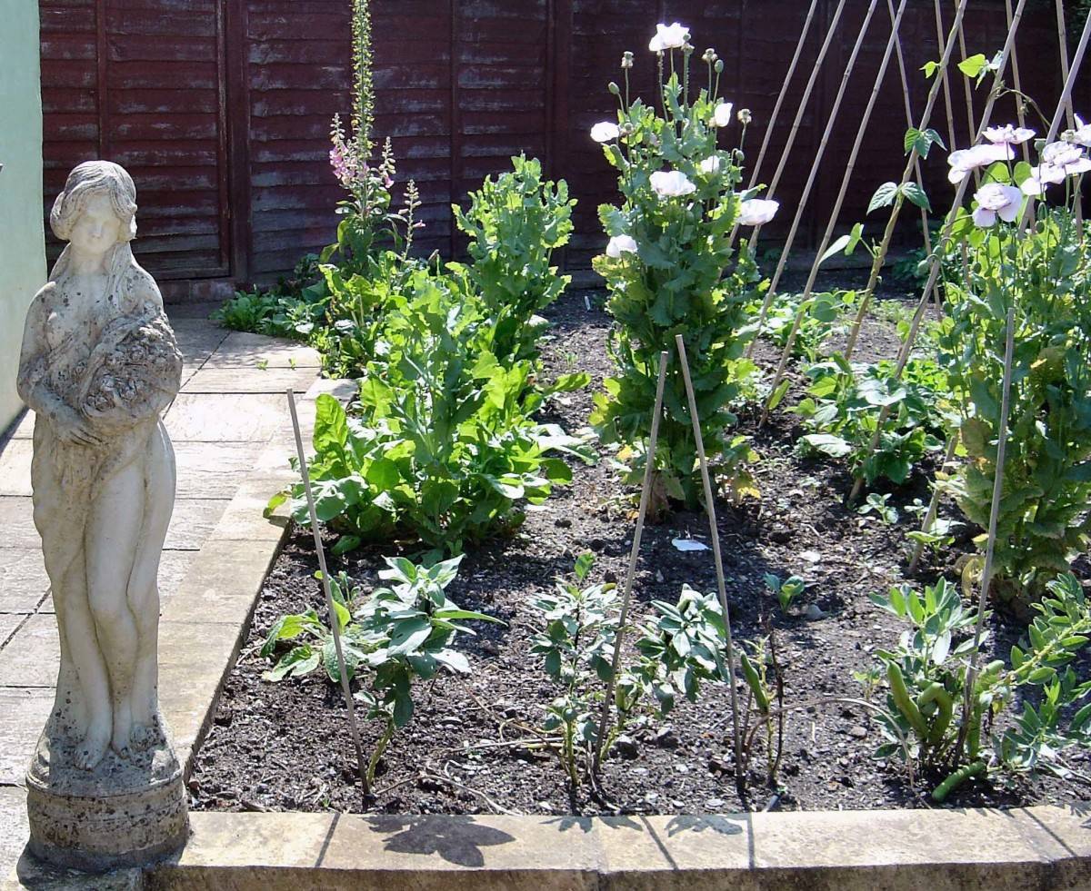 22 Medieval Vegetable Garden Ideas You Gonna Love | SharonSable
