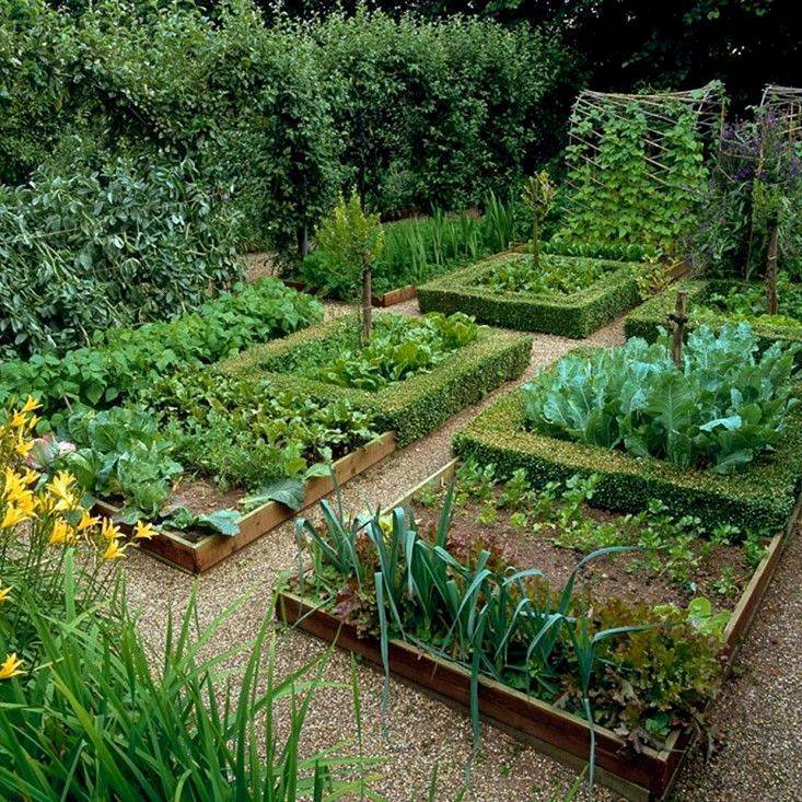22 Medieval Vegetable Garden Ideas You Gonna Love | SharonSable
