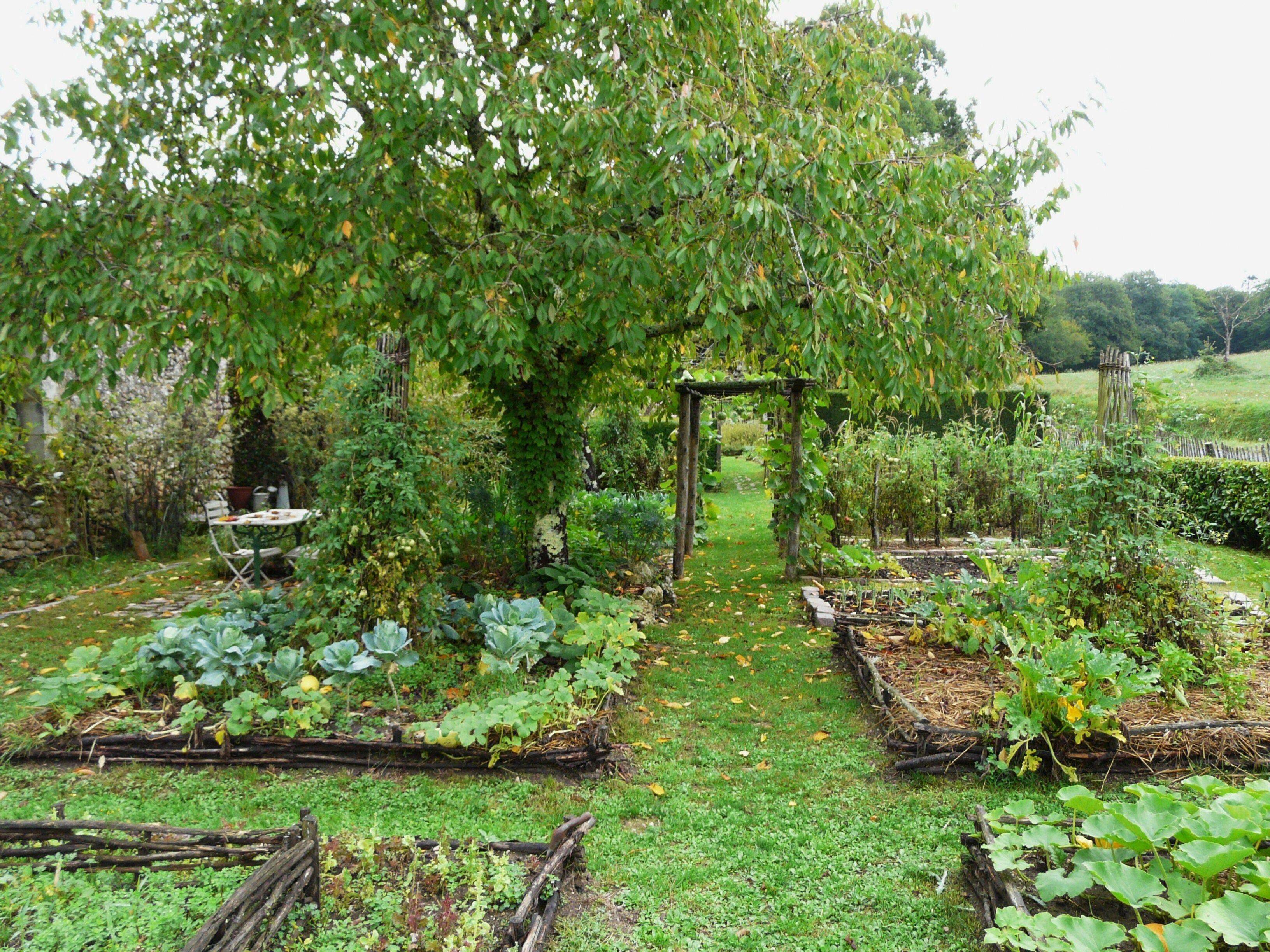 22 Medieval Vegetable Garden Ideas You Gonna Love | SharonSable