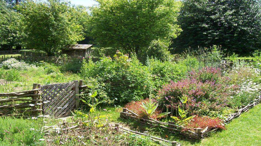 22 Medieval Vegetable Garden Ideas You Gonna Love | SharonSable