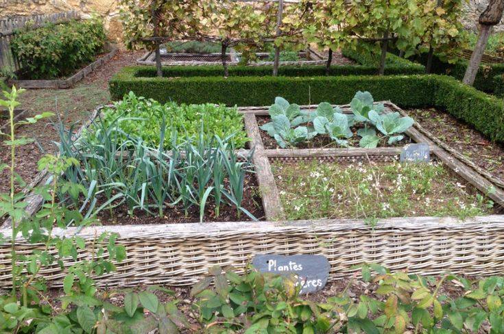 22 Medieval Vegetable Garden Ideas You Gonna Love | SharonSable