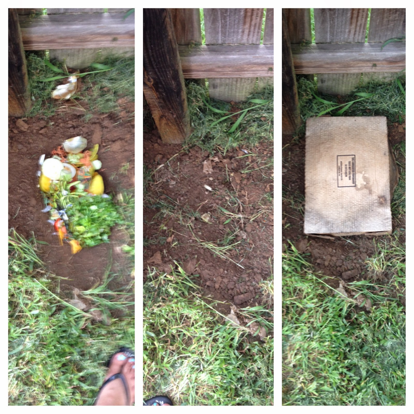 19 Redneck Garden Ideas You Gonna Love | SharonSable