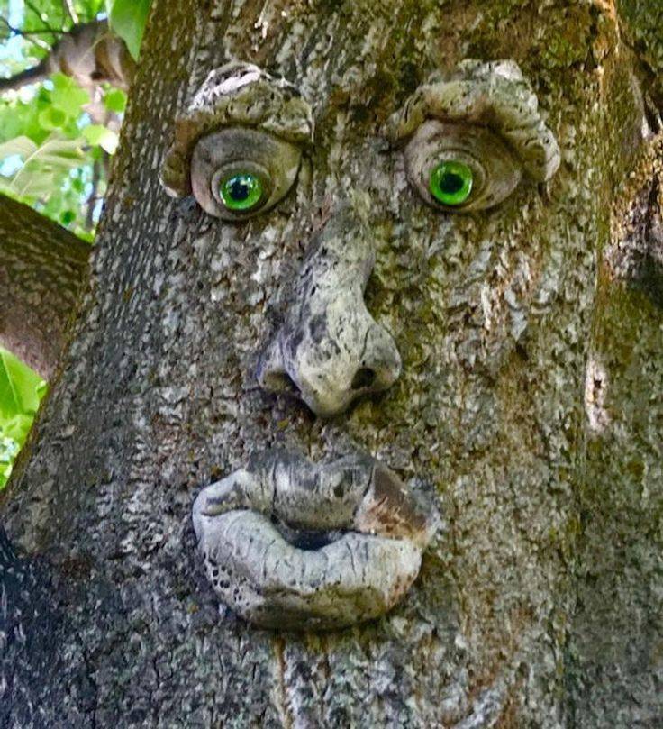 20 Cement Garden Faces Ideas To Try This Year | SharonSable