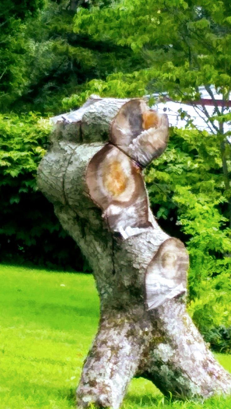 16 Funny Garden Sculptures Ideas To Consider | SharonSable