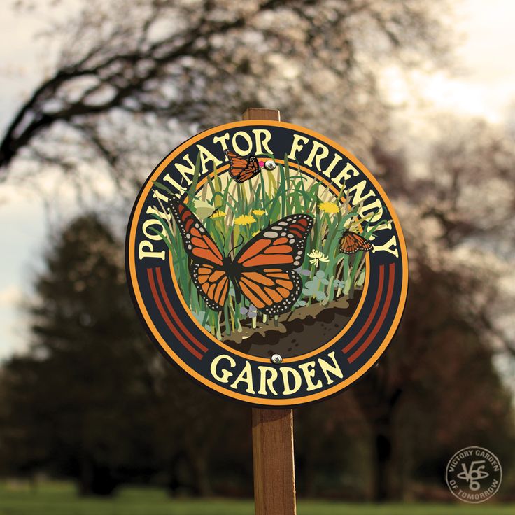 16 Butterfly Garden Sign Ideas To Try This Year | SharonSable