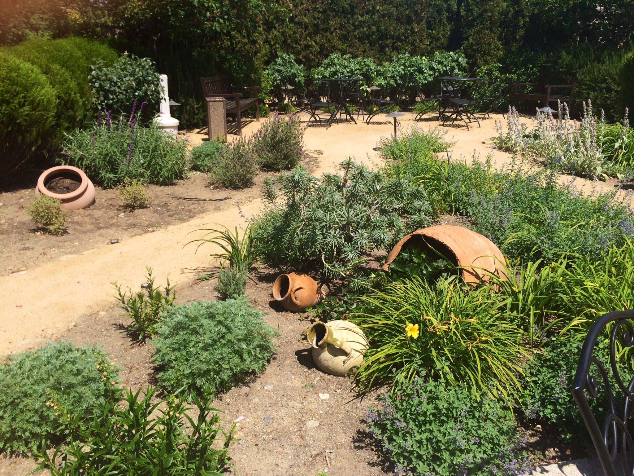 23 Tuscan Garden Plants Ideas You Should Check | SharonSable