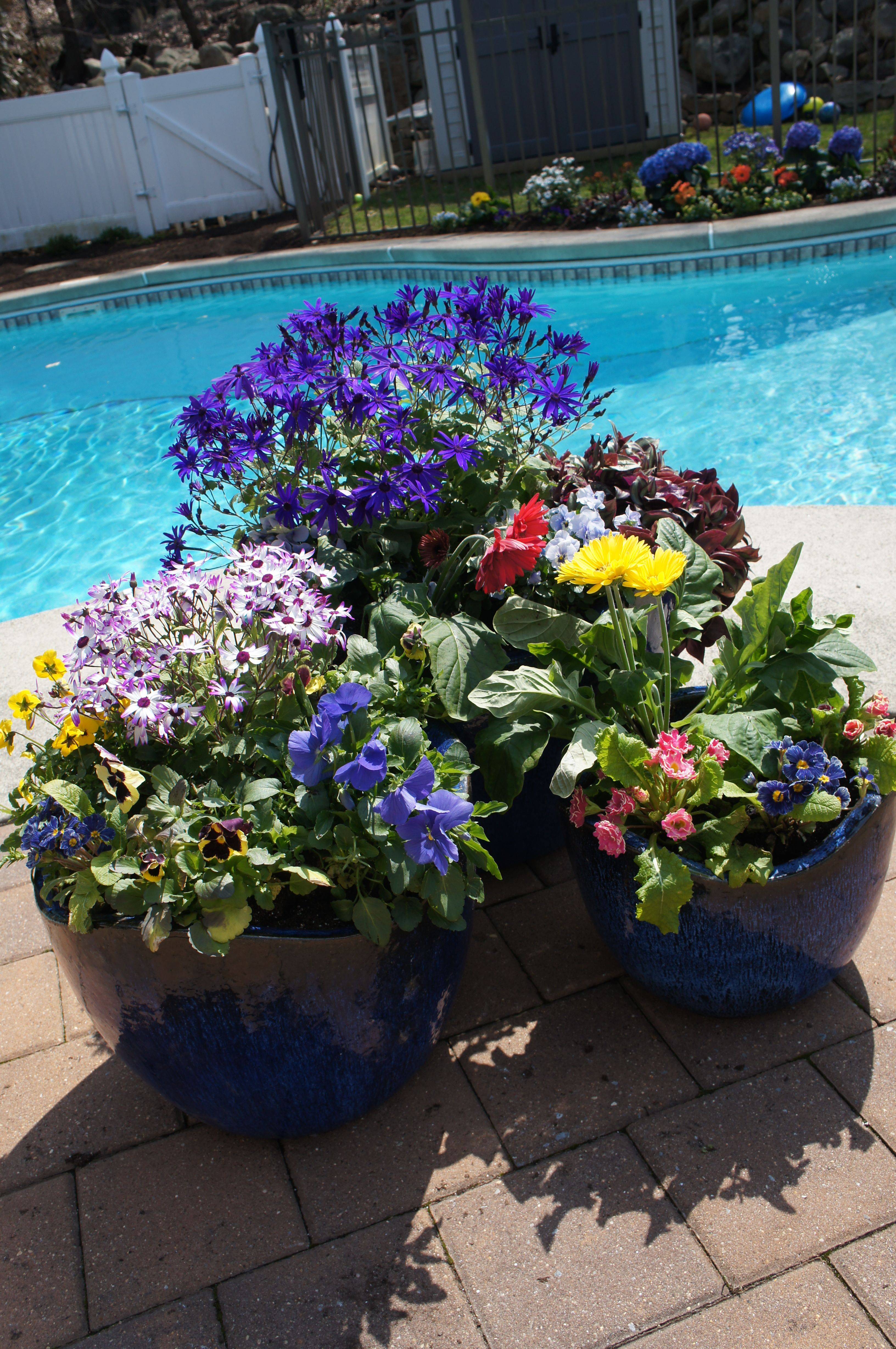 20 Spring Water Garden Ideas Worth to Check | SharonSable