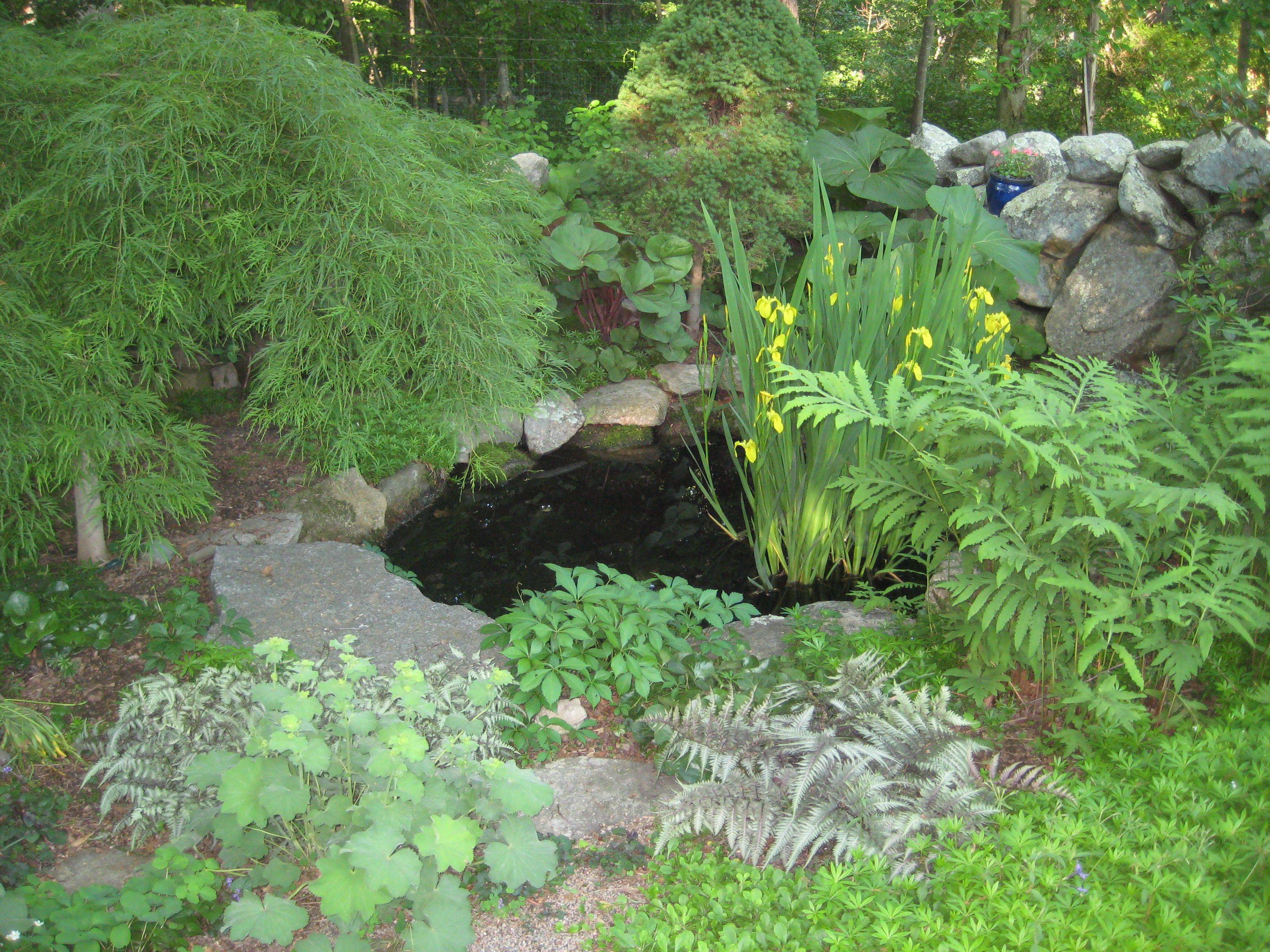 20 Spring Water Garden Ideas Worth to Check | SharonSable