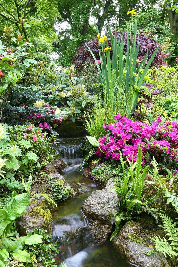 20 Spring Water Garden Ideas Worth to Check | SharonSable