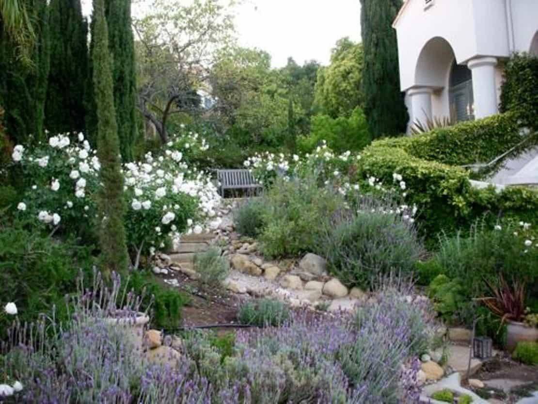 22 Cypress Garden Ideas You Should Check | SharonSable