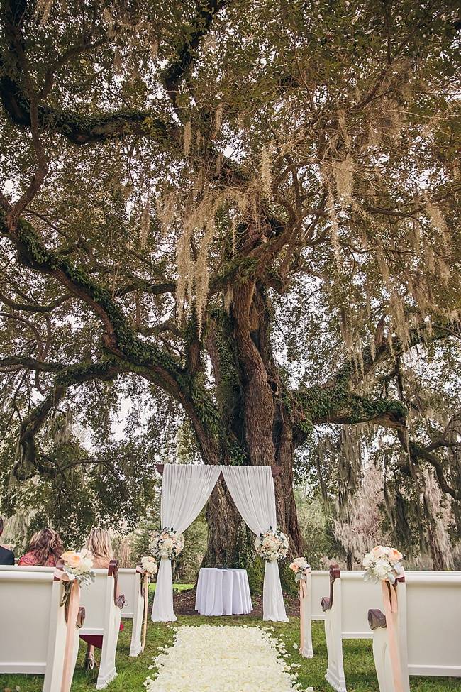 19 Magnolia Plantation Garden Ideas You Gonna Love | SharonSable