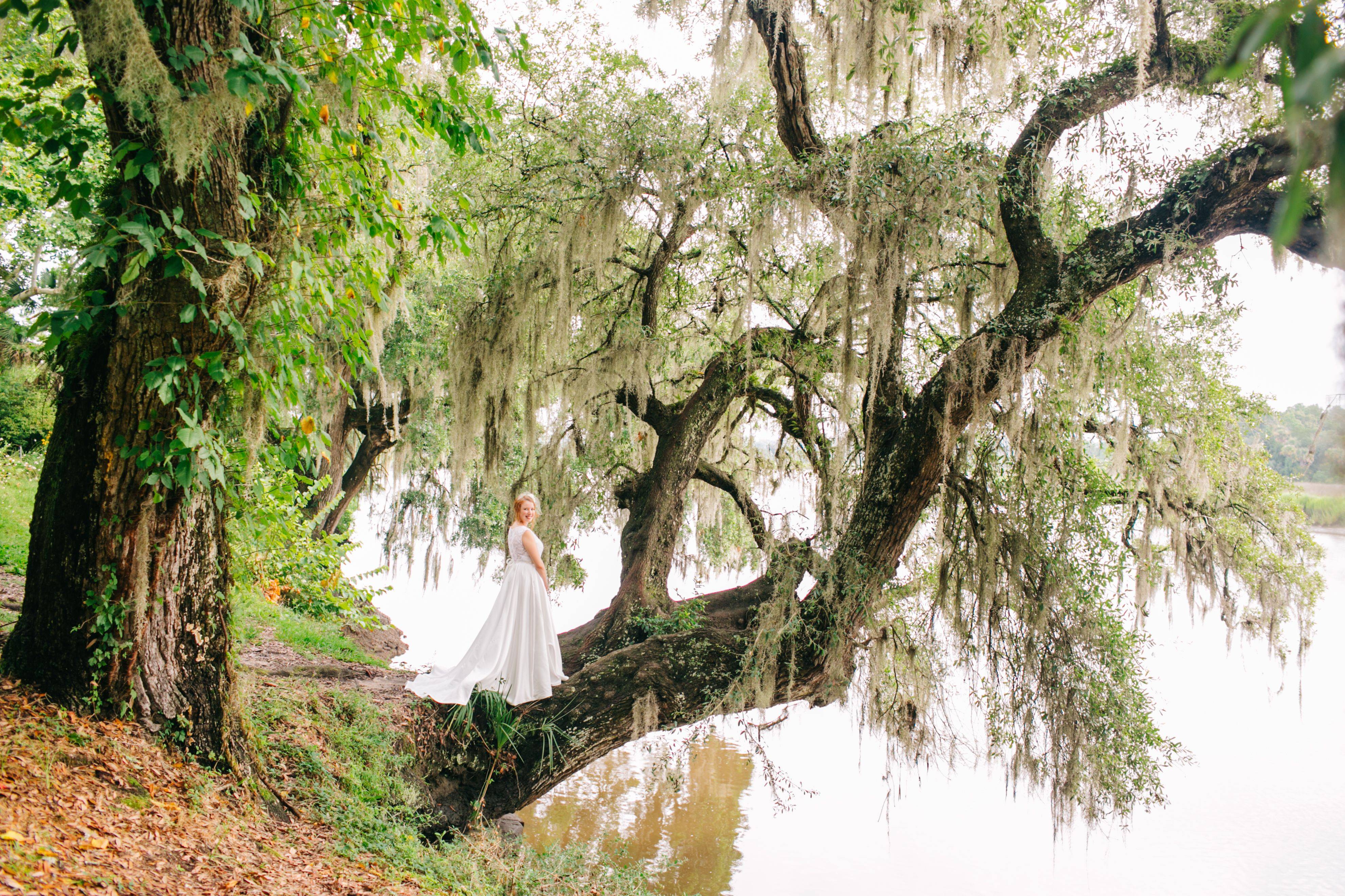 19 Magnolia Plantation Garden Ideas You Gonna Love | SharonSable